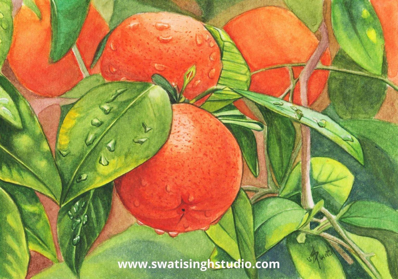 Oranges in watercolor