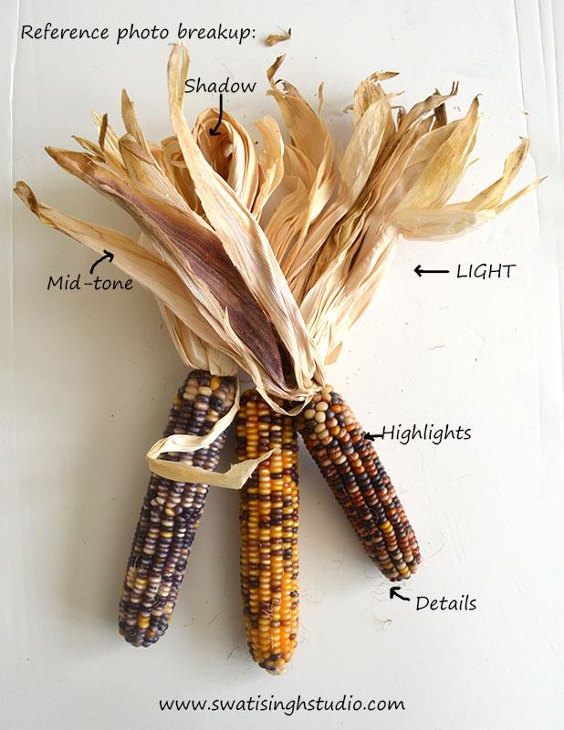 Watercolor Indian Corn Template Watercolors & Pastels Indian Corn