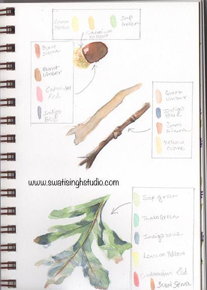 Acorns and Oak leaves in watercolor Part 1&2