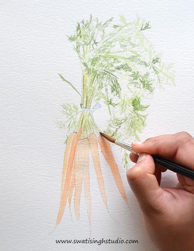 Carrots in watercolor