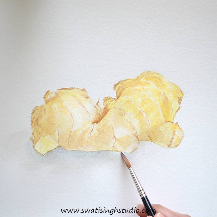 Ginger in watercolor