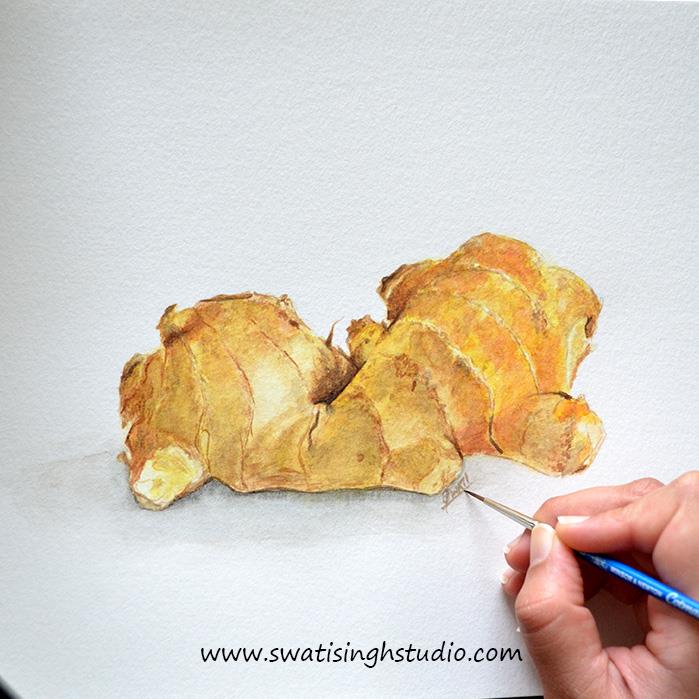 Ginger in watercolor