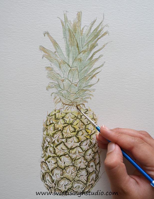 Pineapple in watercolor