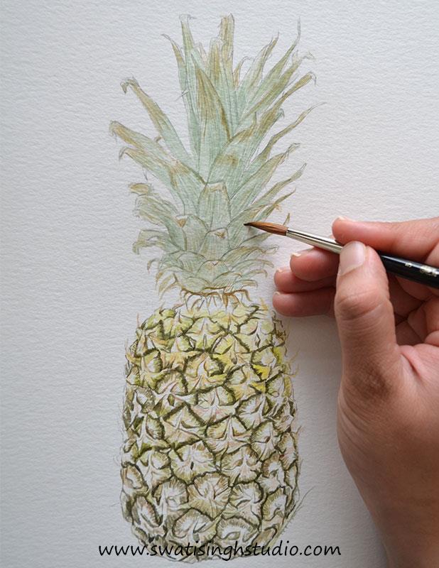Pineapple in watercolor