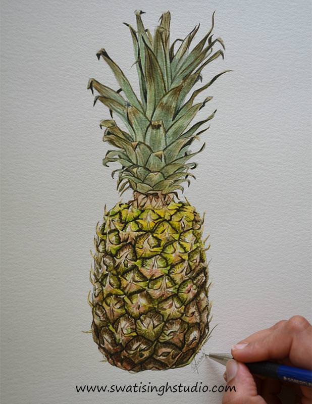 Pineapple in watercolor