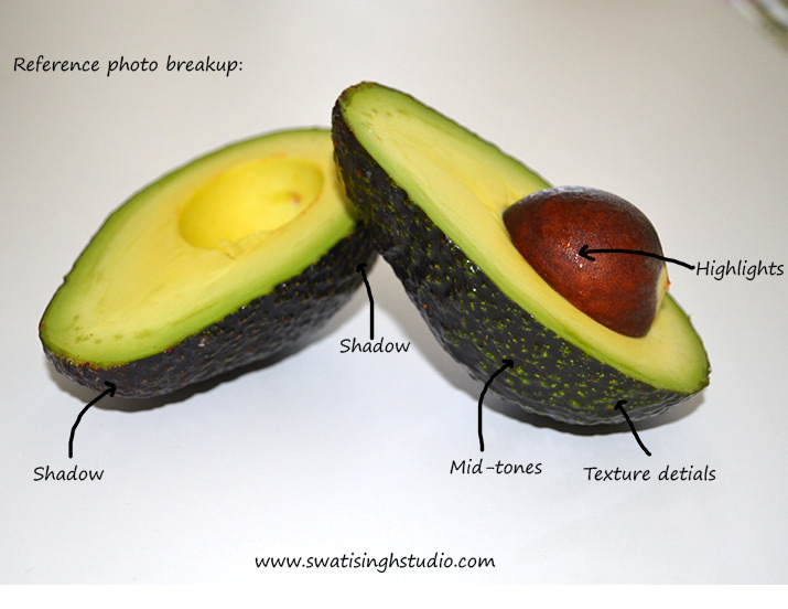 Avocado in watercolor