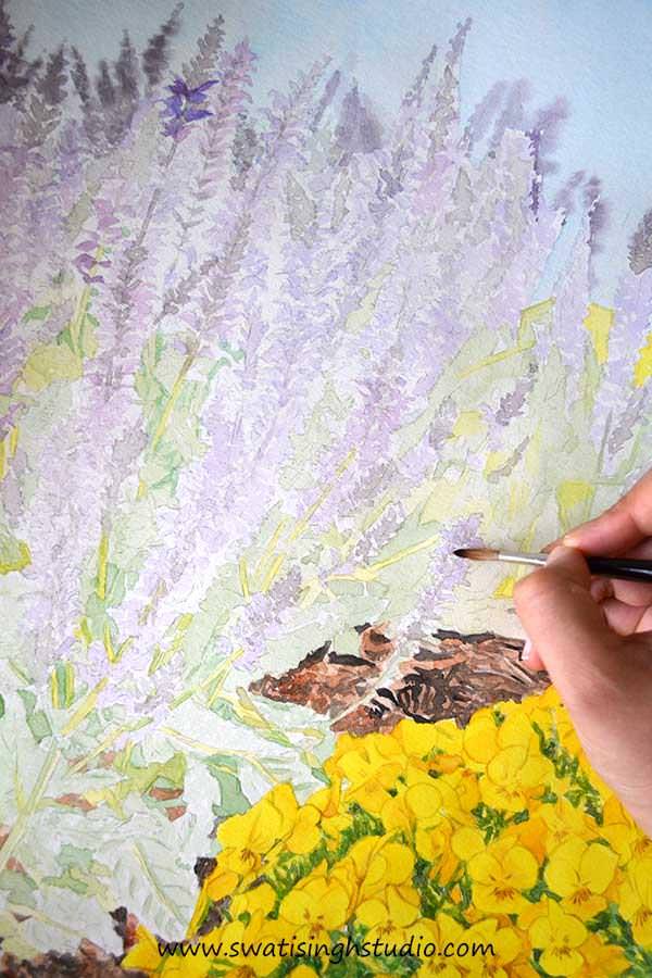 Spring- Salvia May Night in watercolor